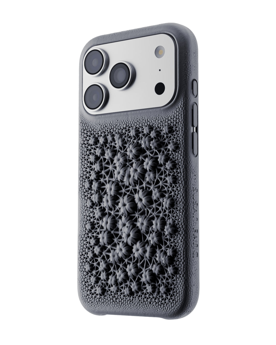 APPLE SPECIAL CASE